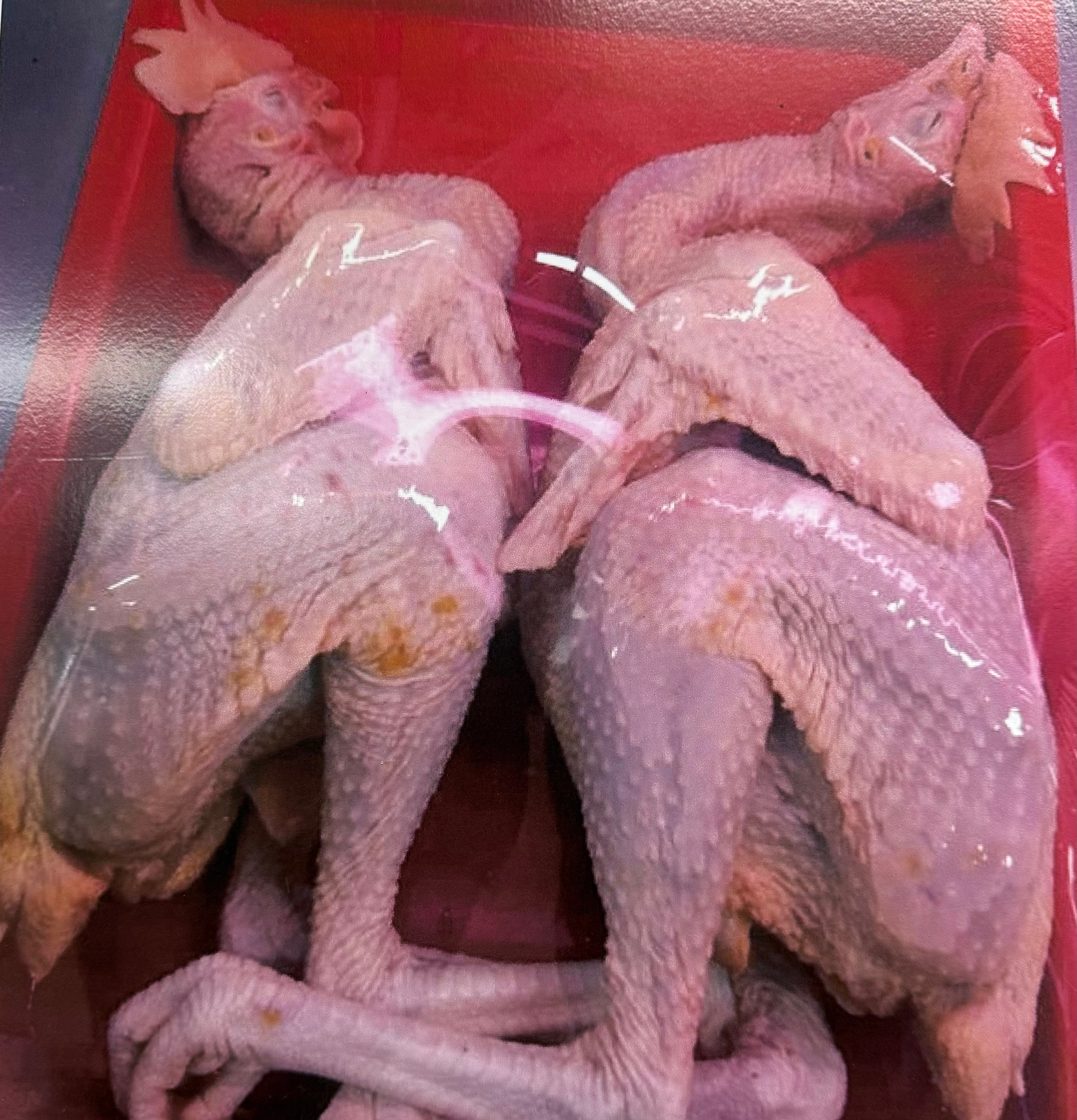 Local Bhale – Indreni Supermarket